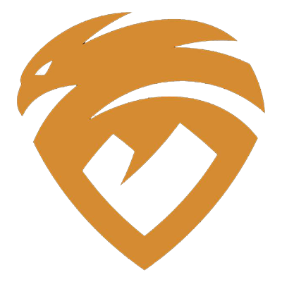 SE Atlas Valorant Team Overview and Viewers Statistics | Esports Charts