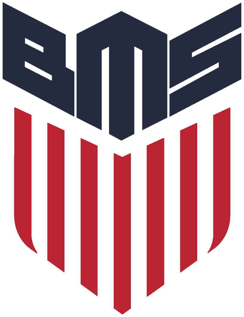 BMS ESPORTS SSB (BMS) Team Overview and Viewers Statistics | Esports Charts