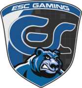 ESC Gaming Valorant (ESC) Team Overview and Viewers Statistics ...
