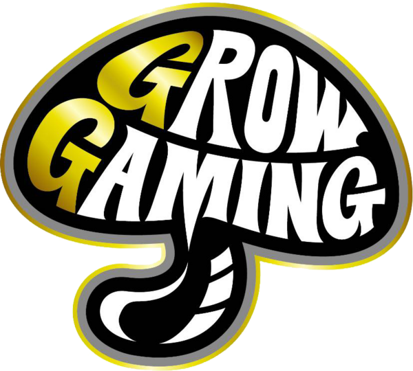 GROW Gaming Valorant (GG) Team Overview and Viewers Statistics ...