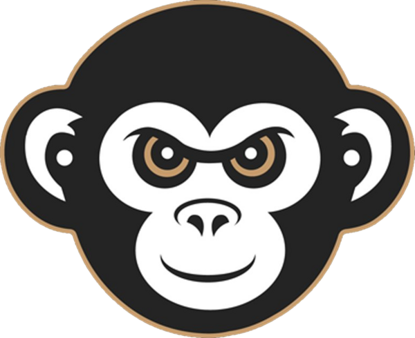 Esprit Shônen SSB (ES) Team Overview and Viewers Statistics | Esports ...