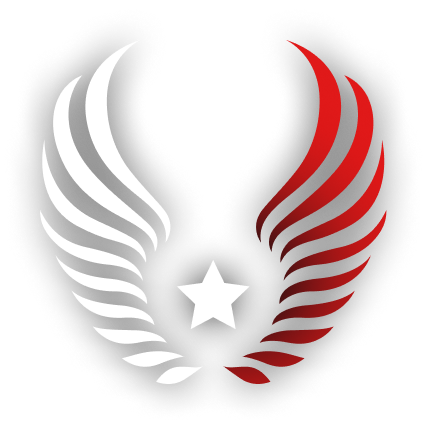 Mercy Gaming Valorant (MG) Team Overview and Viewers Statistics ...