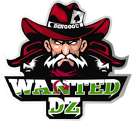Wanted DZ Free Fire (WDZ) Team Overview and Viewers Statistics ...