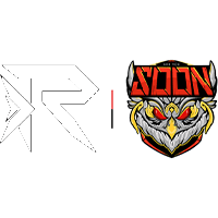SYS ReigN Esports Valorant (SYS) Team Overview and Viewers Statistics ...